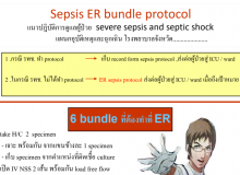 ตัวอย่างแบบบันทึก SOS Score สำหรับผู้ช่วยเหลือคนไข้ – SEPSiSEASY